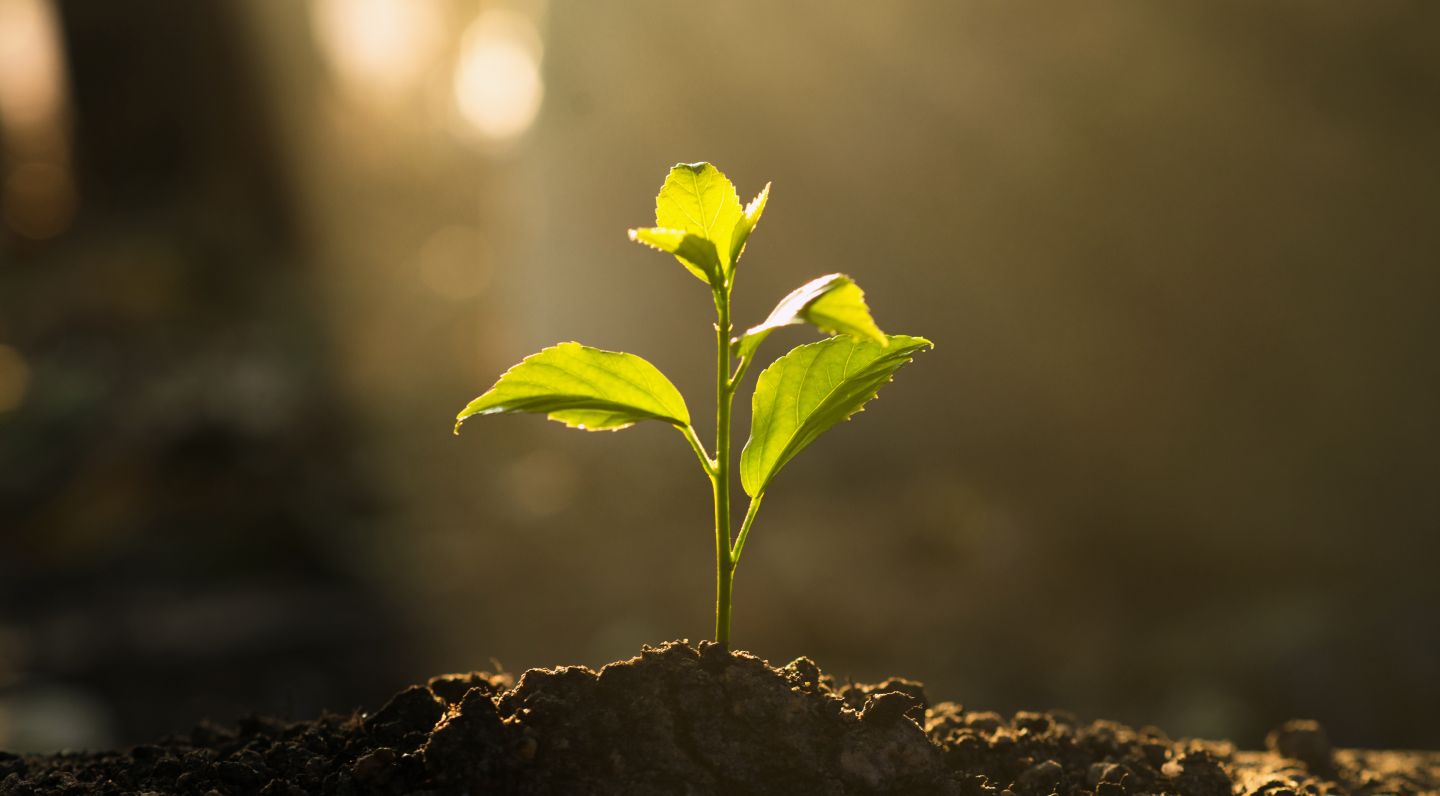 Σε συνεχόμενη τροχιά ανάπτυξης και το 2022